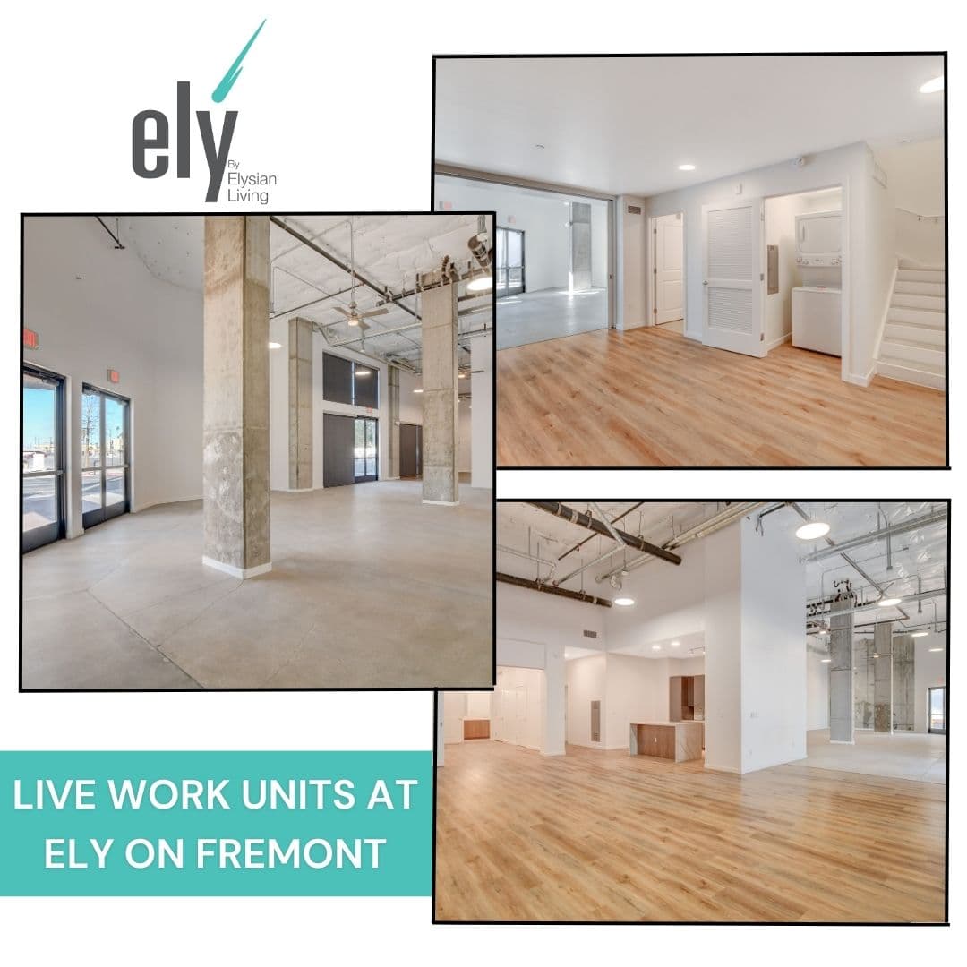Live Work Units: Everything You Need to Know | Elysian Living